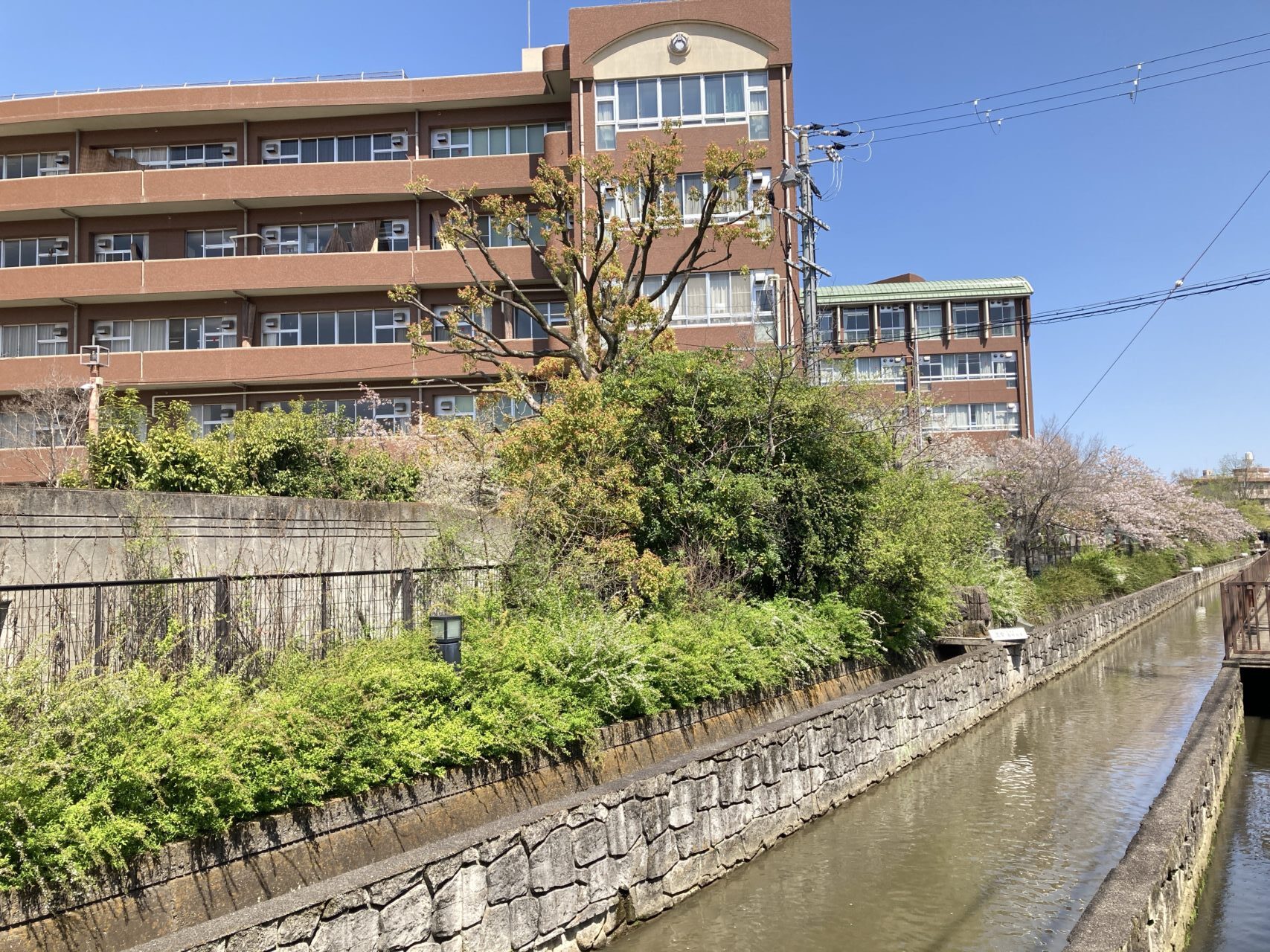 【八尾市】誰でも参加OKの地域フェスタ☆八尾高創立130周年記念イベント「YAOKO FESTA」11/1（土）プリズホールで開催！ | 号外NET 八尾